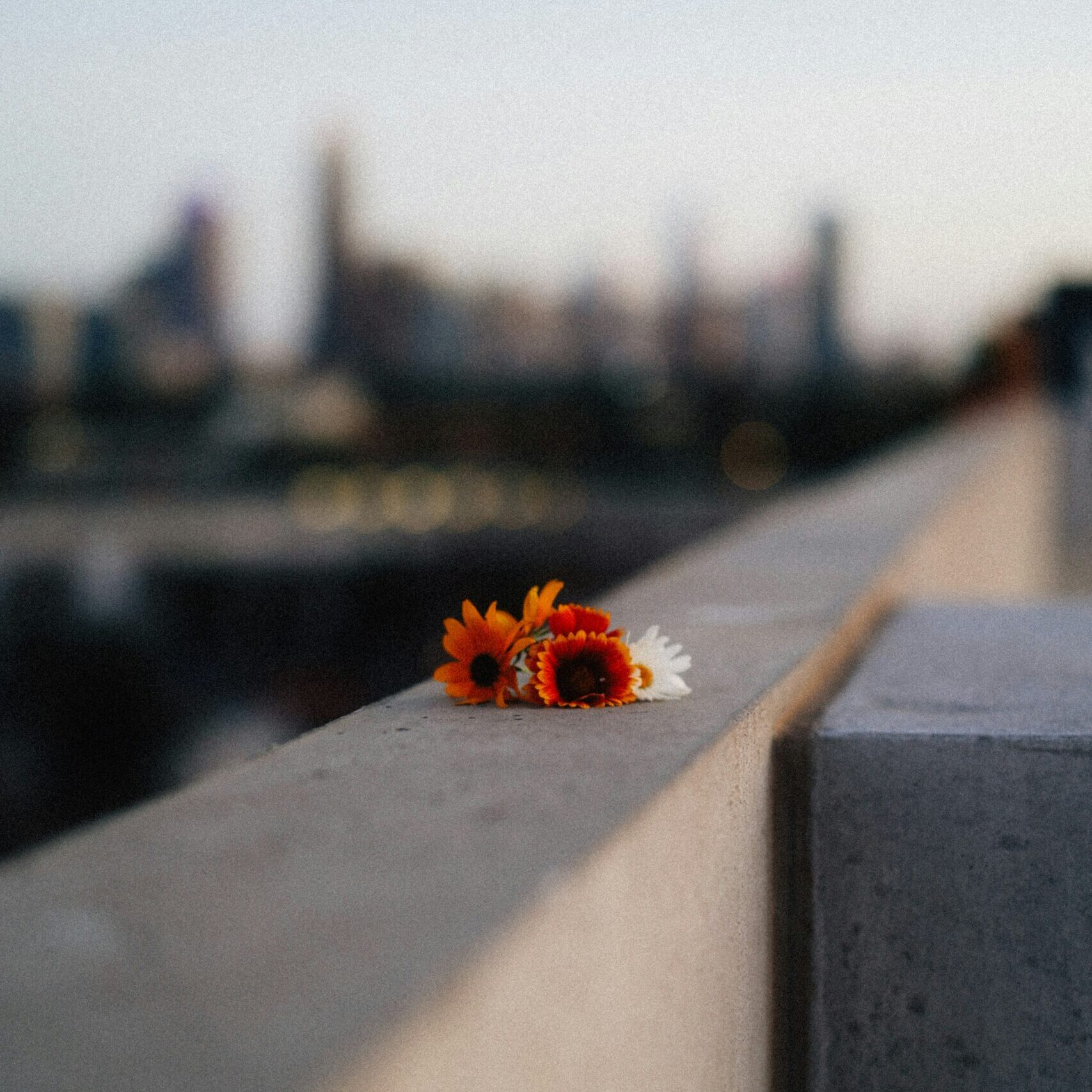 Home - Phi Dang, Human Design Life Coach Sydney