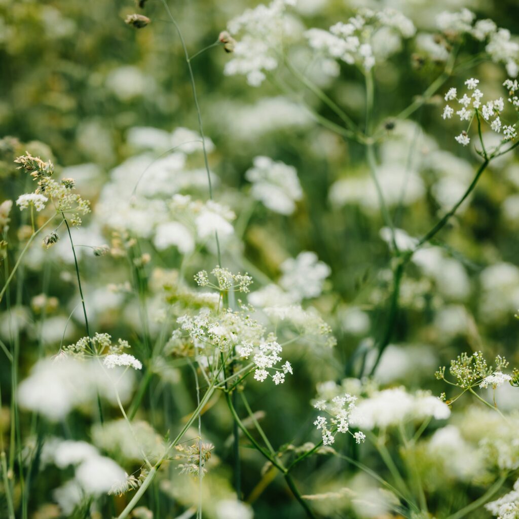 This is your journey - Phi Dang, Human Design Life Coach Sydney