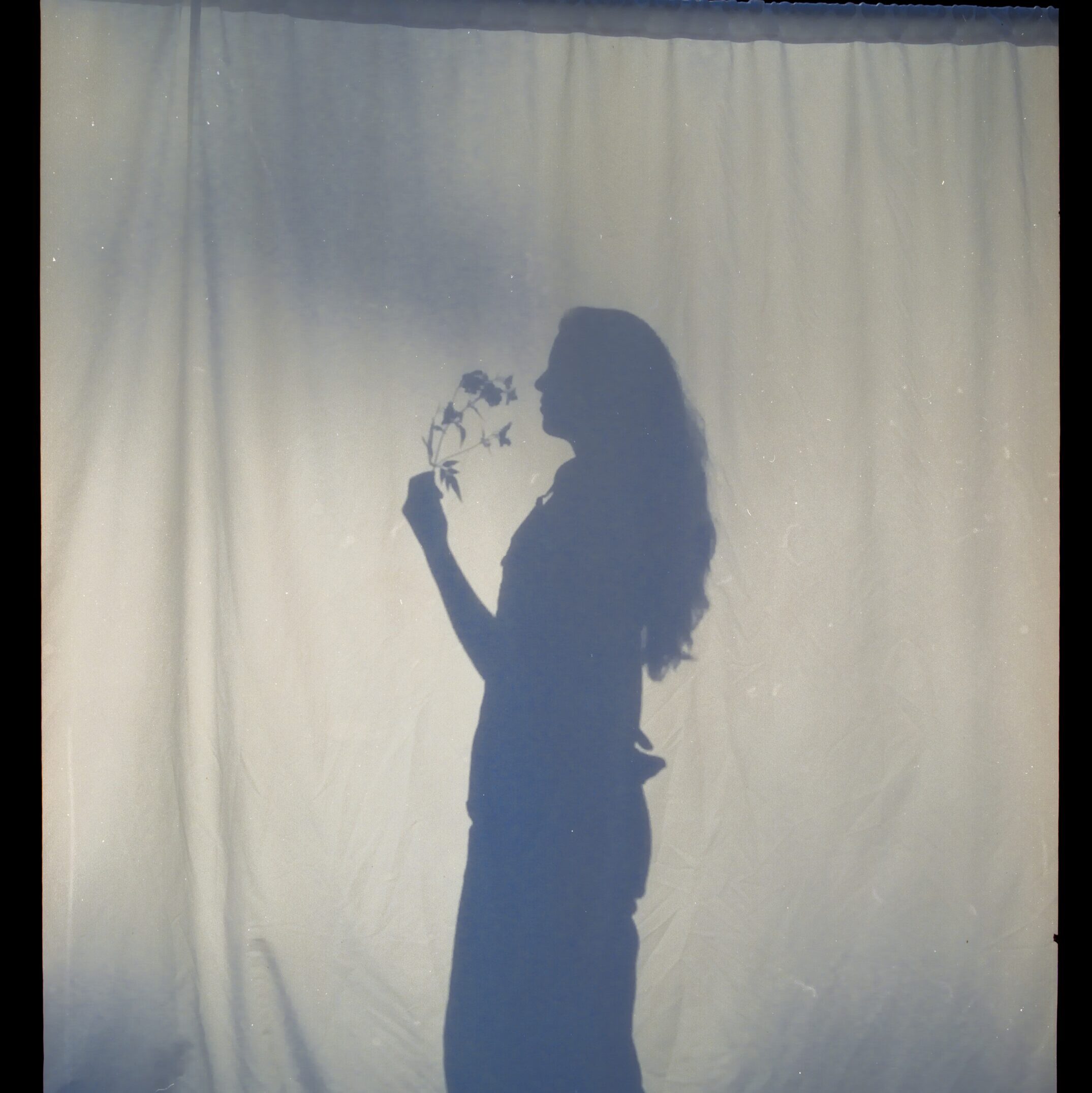 Sensitivity is not a weakness - Phi Dang, Human Design Life Coach Sydney