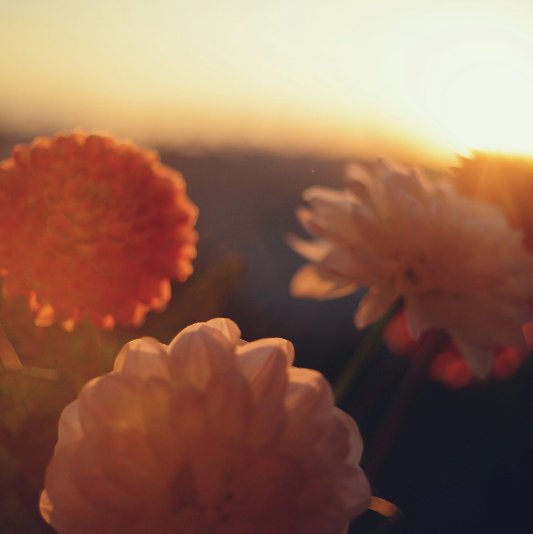 Piecing yourself back together - Phi Dang, Human Design Life Coach Sydney